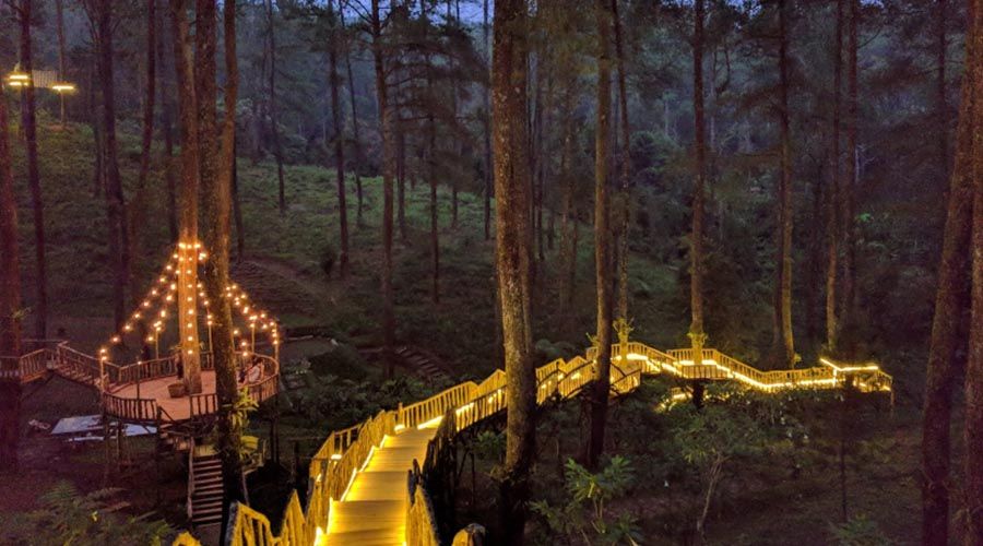 Orchid Forest Cikole Lembang Bandung, Ada Apa Saja Di sana? - Kabar Wisata